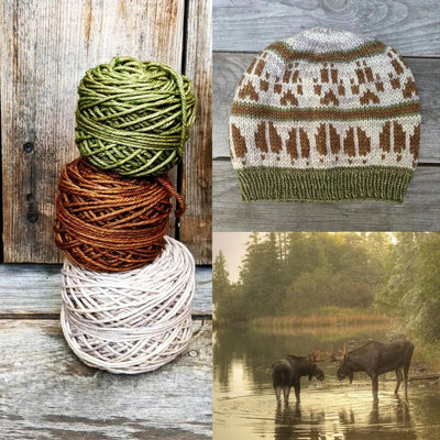 Knitting the National Parks – Mother of Purl Yarn Shop
