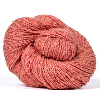 Scout – Mother of Purl Yarn Shop